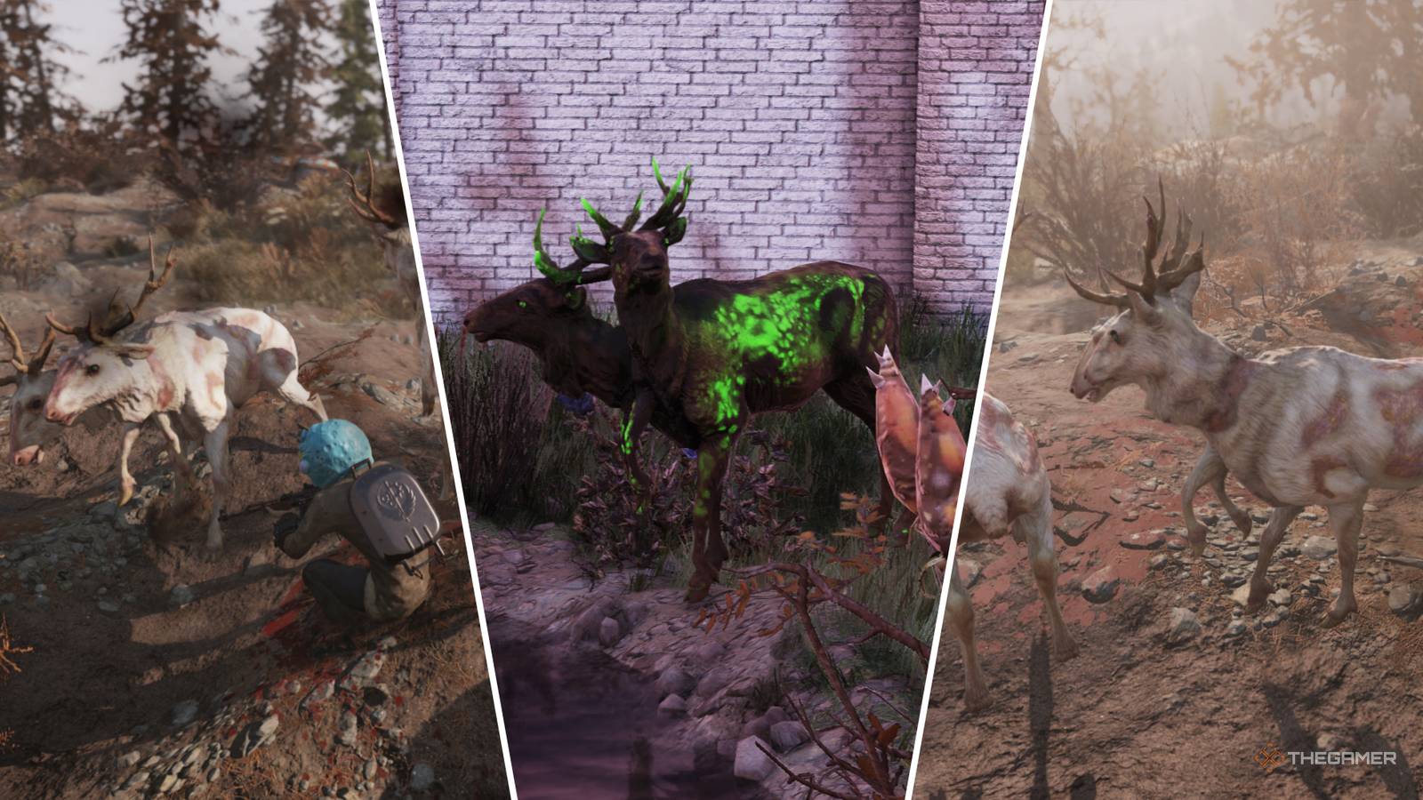 The Best Radstag Locations In Fallout 76