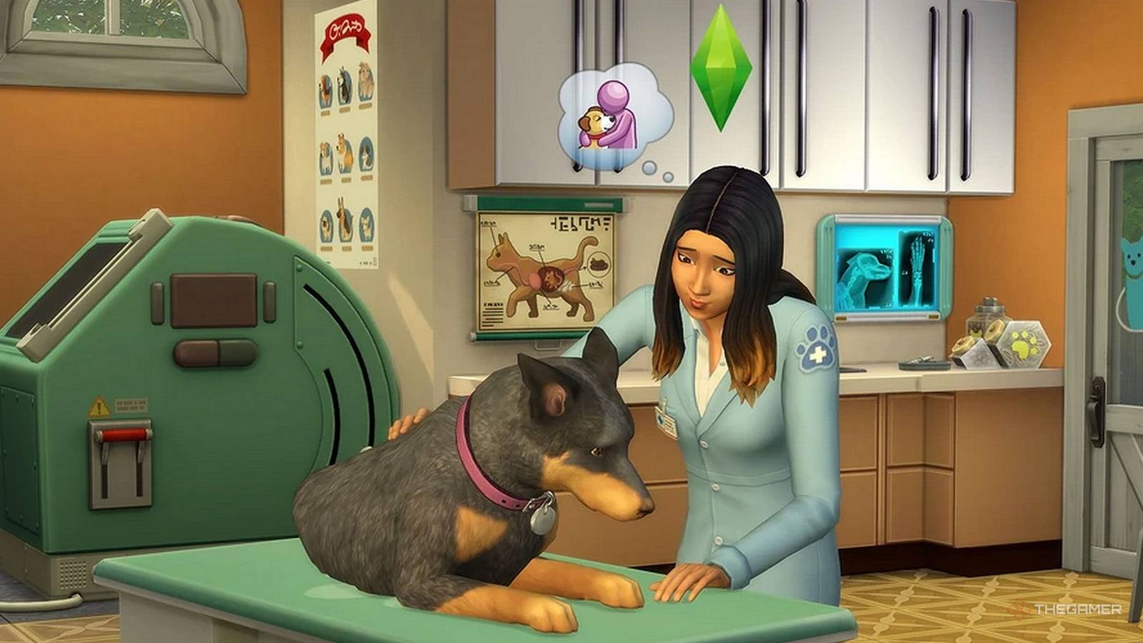 How To Run A Successful Vet Clinic In the Sims 4: Cats And Dogs