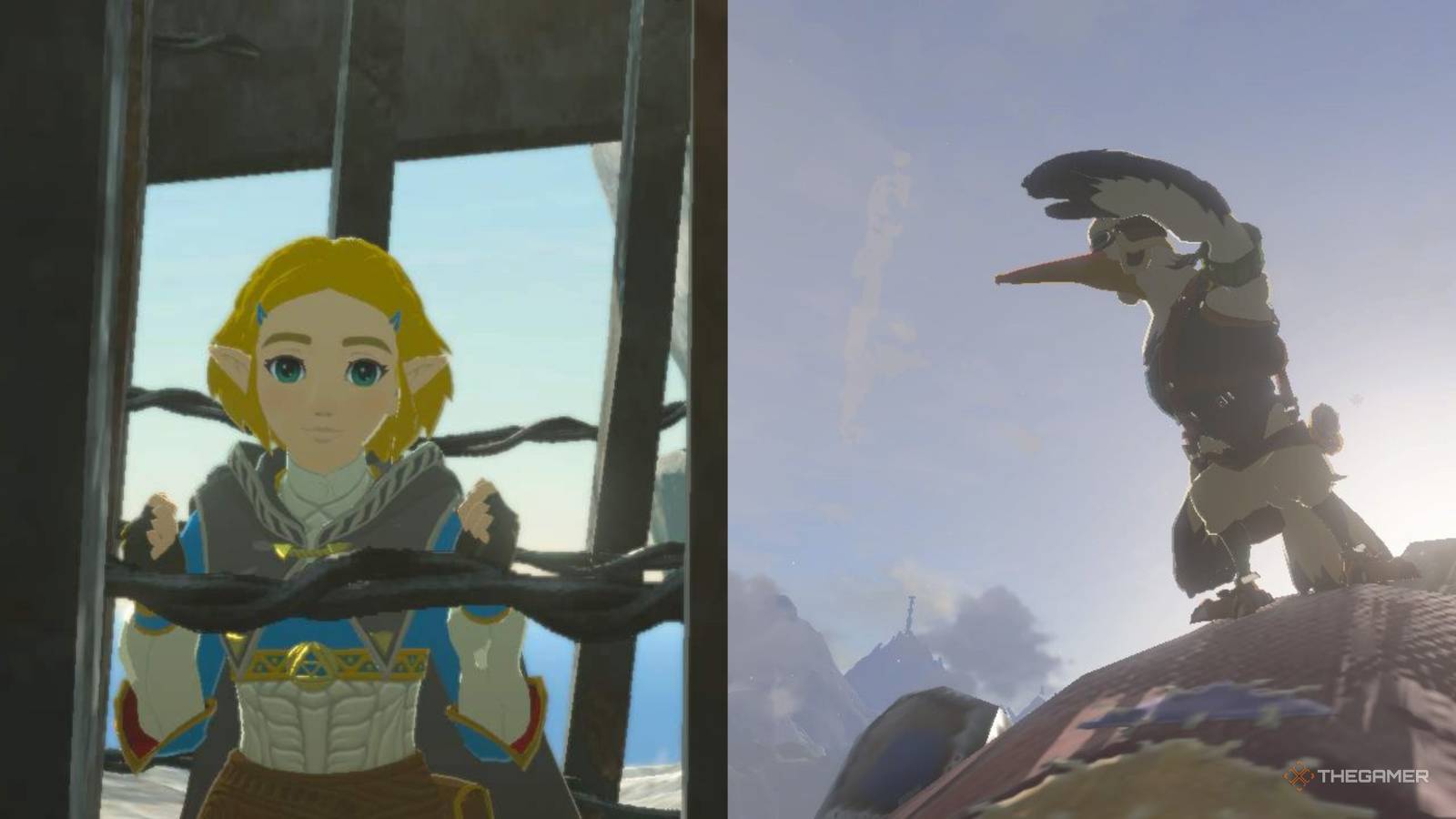 "Princess Zelda Kidnapped?!" Side Adventure Guide In Tears Of The Kingdom