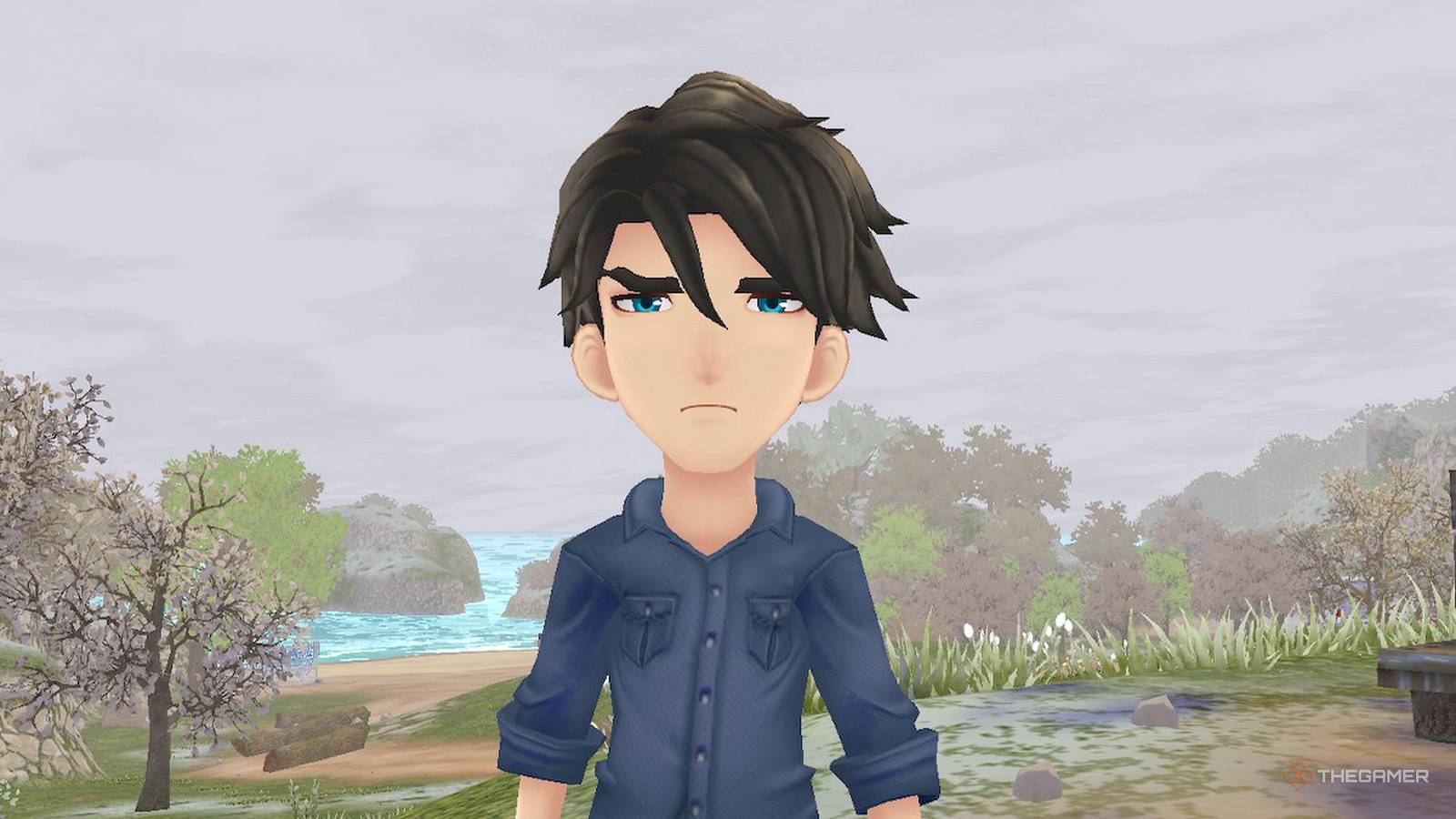 Matthew's Heart Events And Romance Guide In Story Of Seasons: A ...