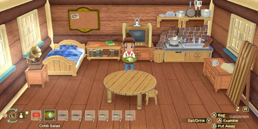 The Best Cooking Recipes In Story of Seasons: A Wonderful Life