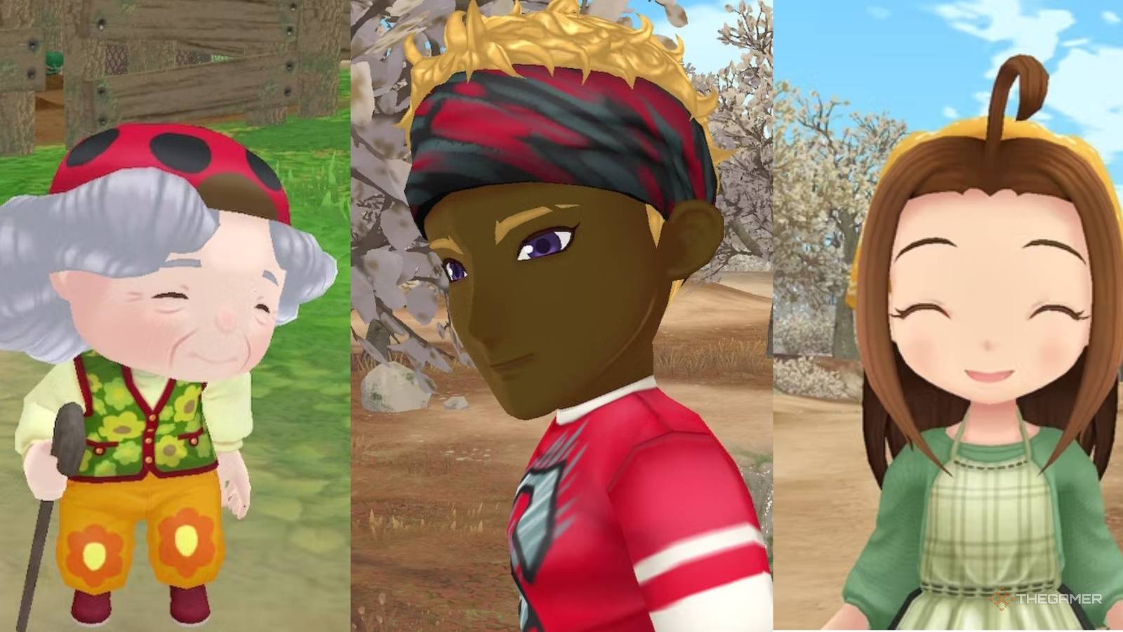 Where To Find Every Character In Story Of Seasons: A Wonderful Life