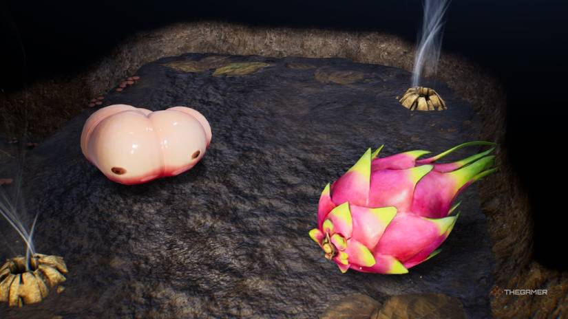 Every Primordial Thicket Treasure Location In Pikmin 4