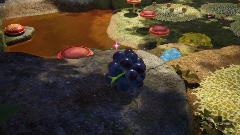 Every Primordial Thicket Treasure Location In Pikmin 4