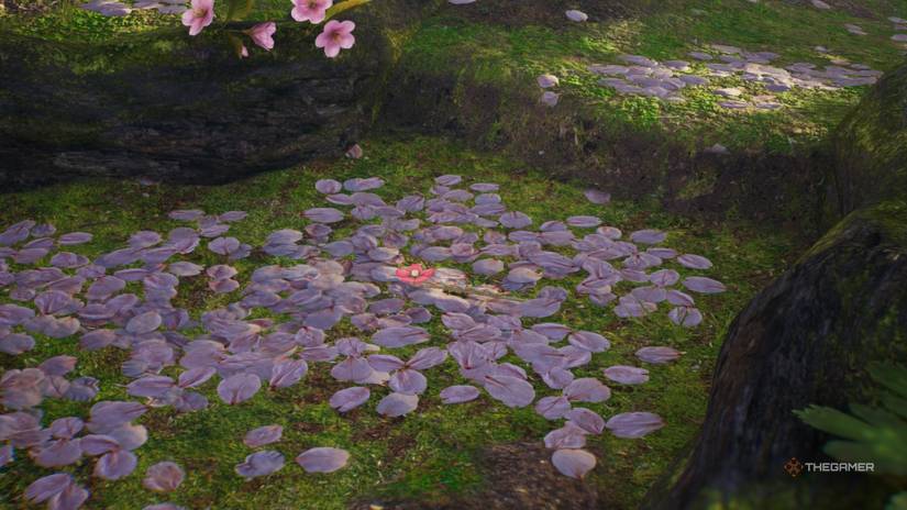 Pikmin 4: Blossoming Arcadia Treasure Locations