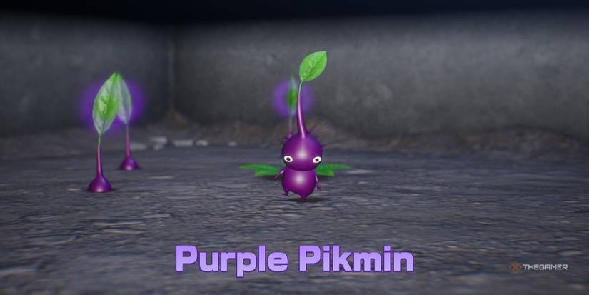 Every Pikmin Type And What They Do