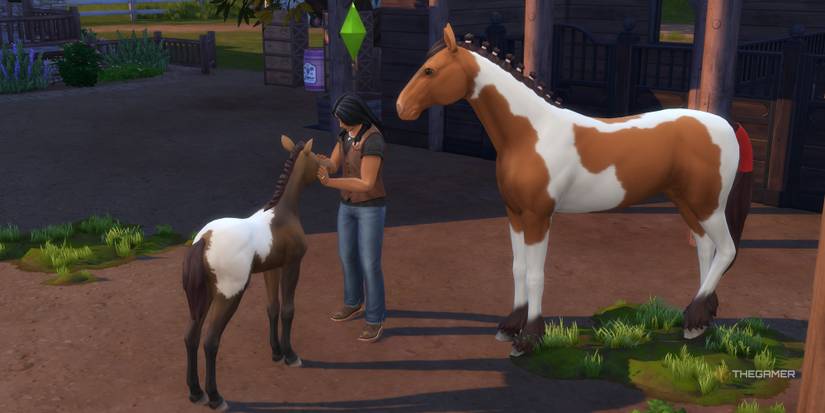 All Relationship Cheats For The Sims 4