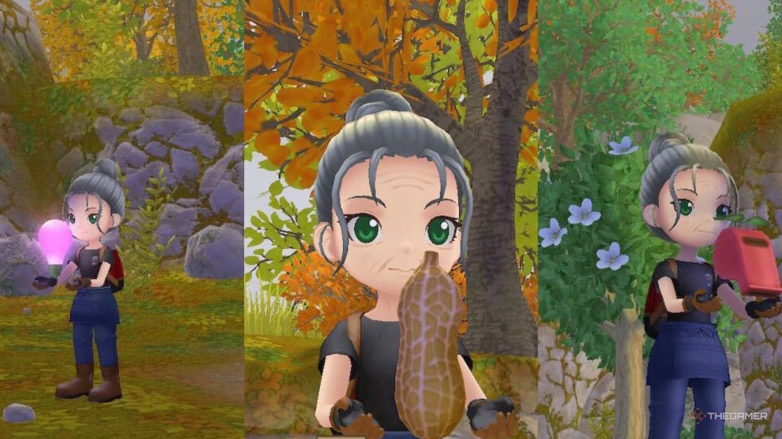 Best Custom Crops In Story Of Seasons: A Wonderful Life