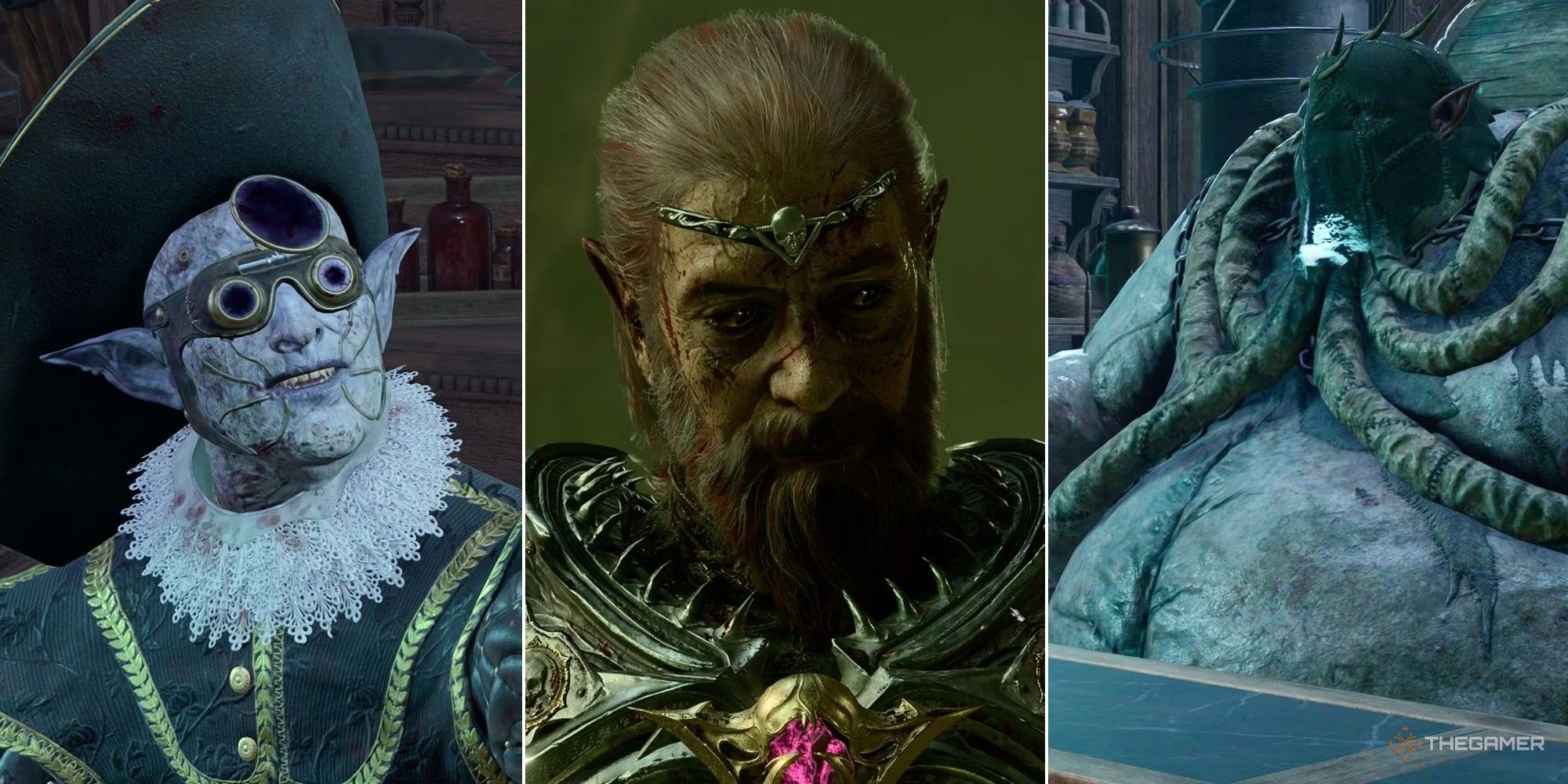 Every Member Of The Thorm Family In BG3