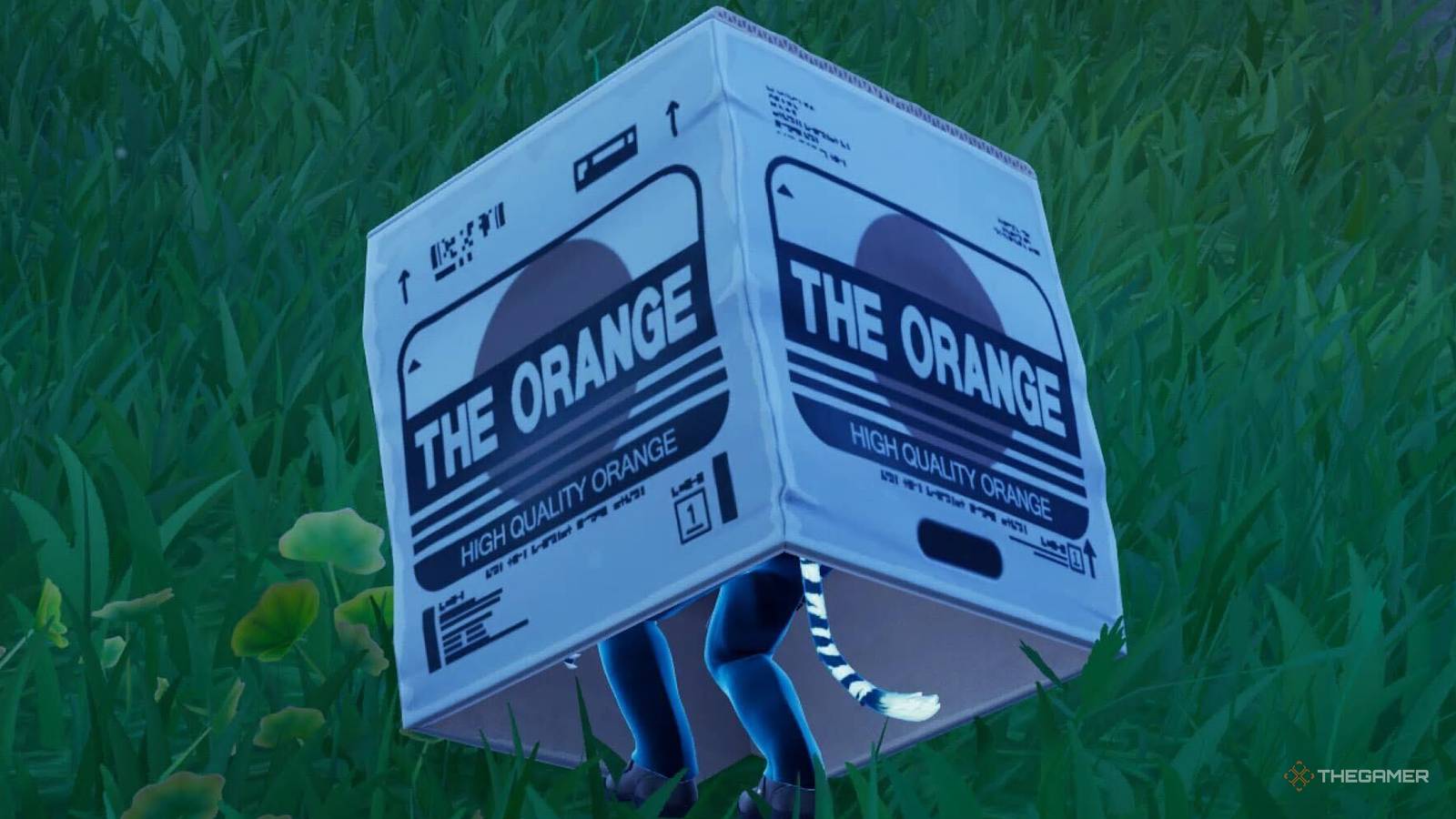 Where To Find The Cardboard Box In Fortnite