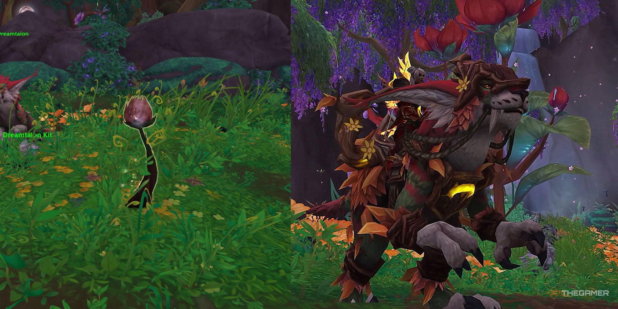 How To Get The Ochre Dreamtalon Mount In WoW: Dragonflight