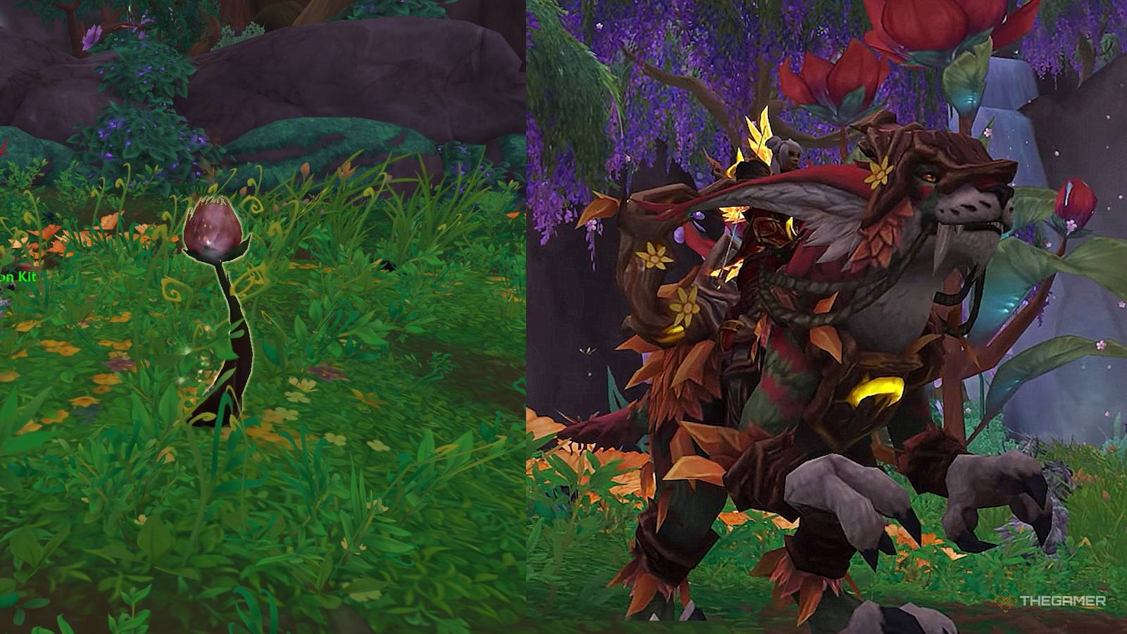 How To Get The Ochre Dreamtalon Mount In WoW: Dragonflight