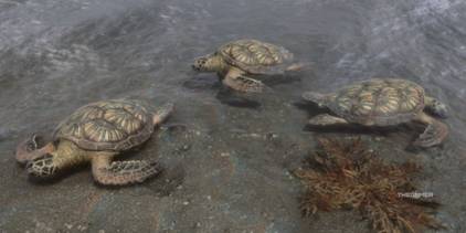 How To Get The Shovel In Sons Of The Forest