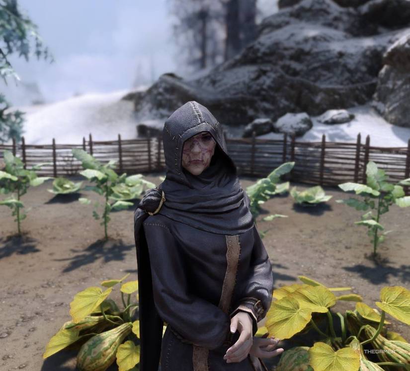 Where To Find Every Female NPC You Can Marry In Skyrim