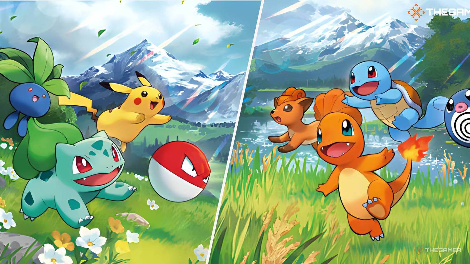 How To Play My First Battle - Pokemon TCG