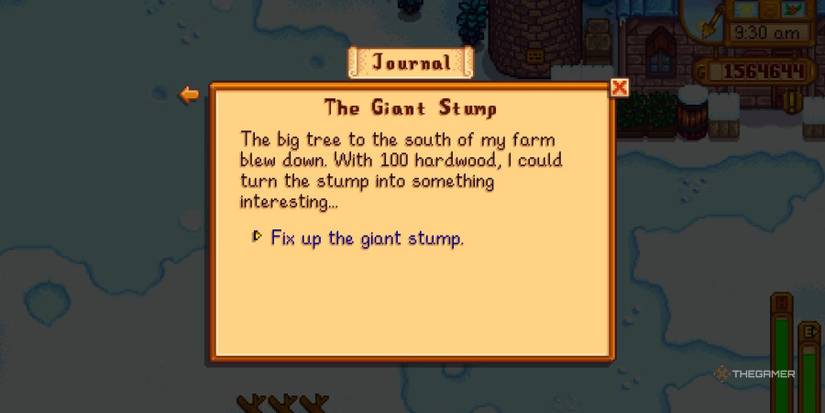 How To Unlock The Raccoon House In Stardew Valley