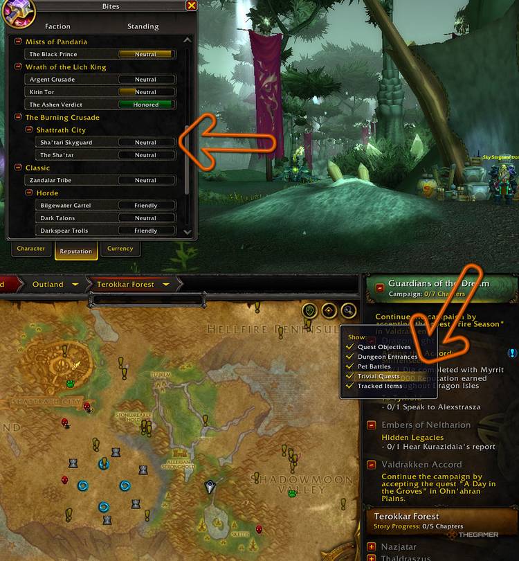 How To Get Exalted With The Sha'tari Skyguard In World Of Warcraft ...