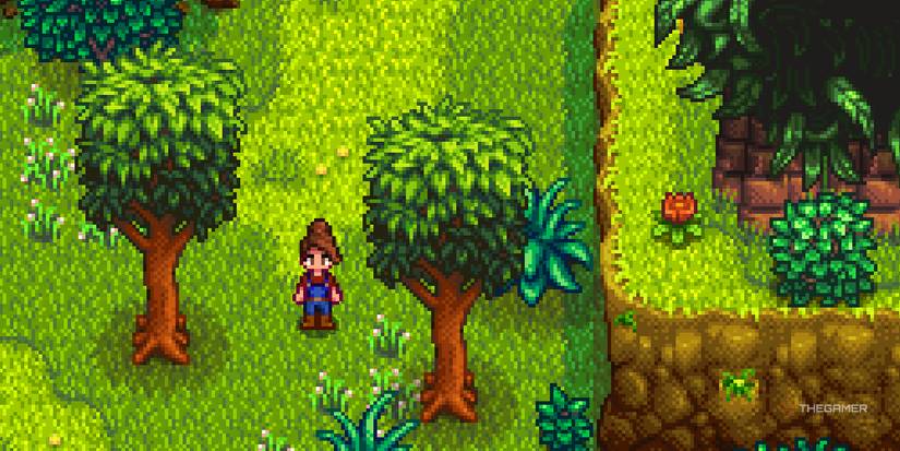 Every Tree In Stardew Valley And What They Drop
