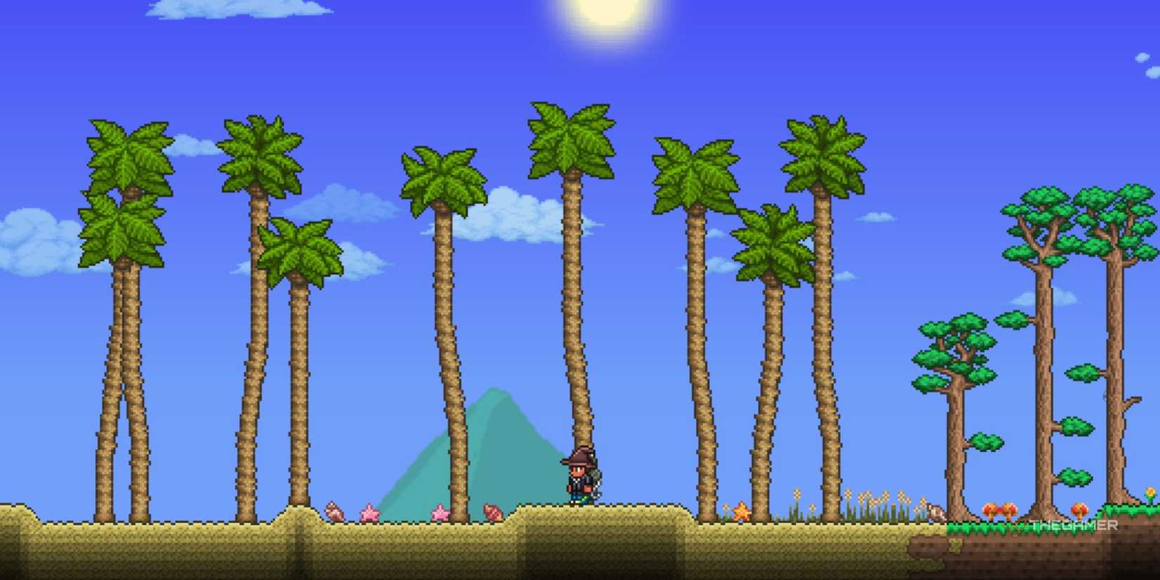 Best Shimmer Transformations In Terraria