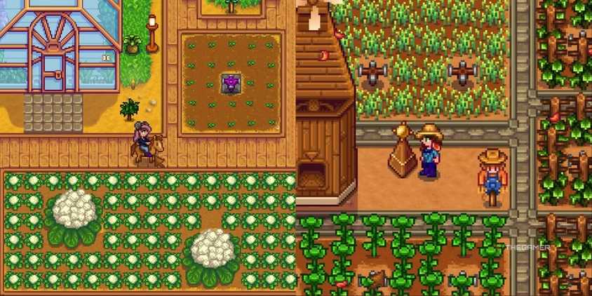 The Best Ways To Plant Trellis Crops In Stardew Valley