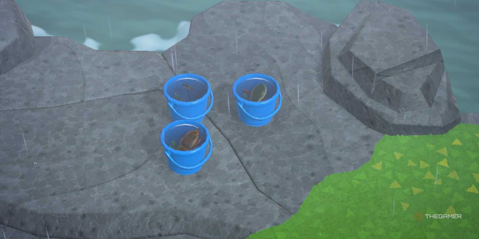 Best Bugs And Fish To Decorate Your ACNH Island