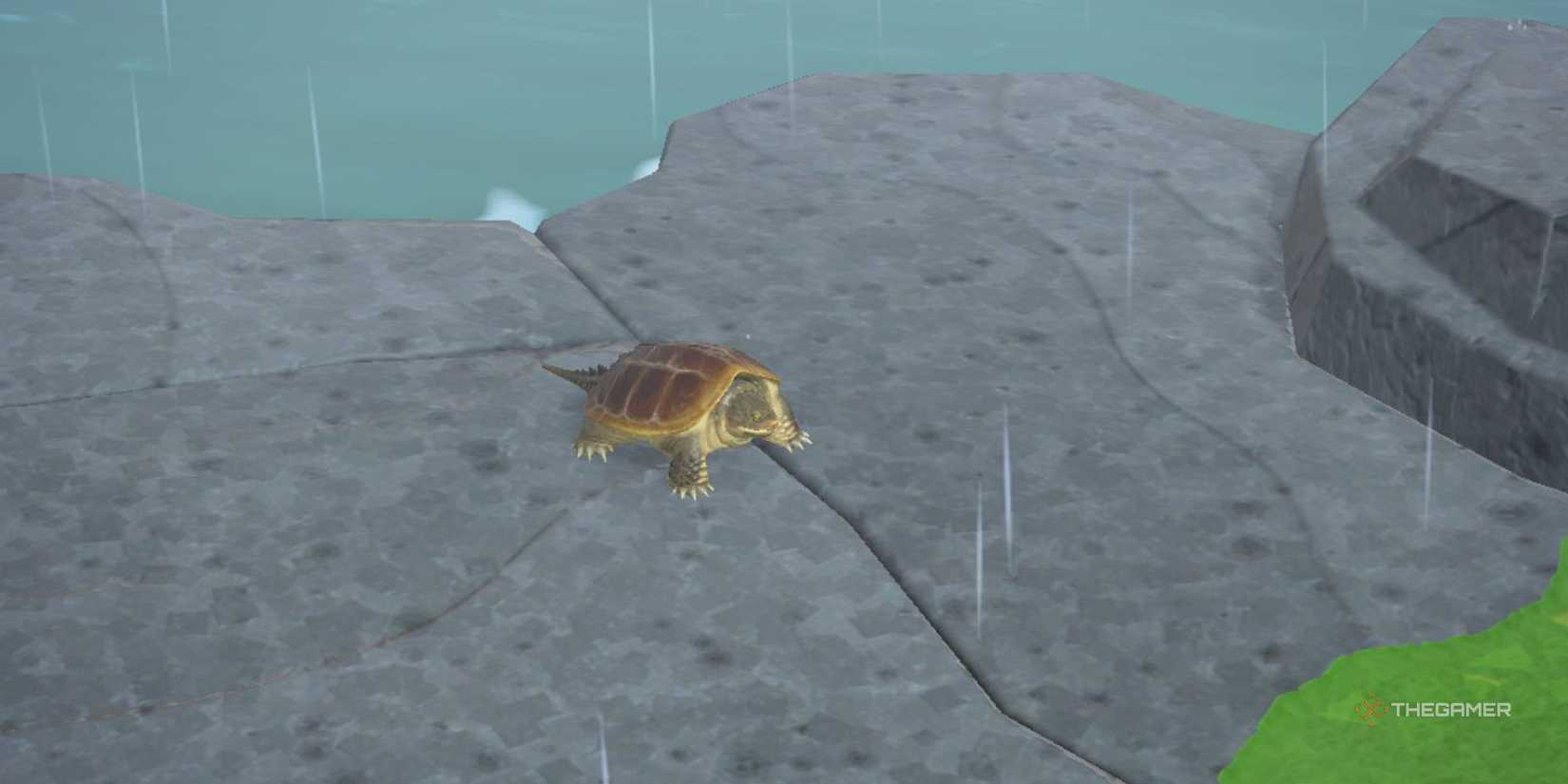 Best Bugs And Fish To Decorate Your ACNH Island