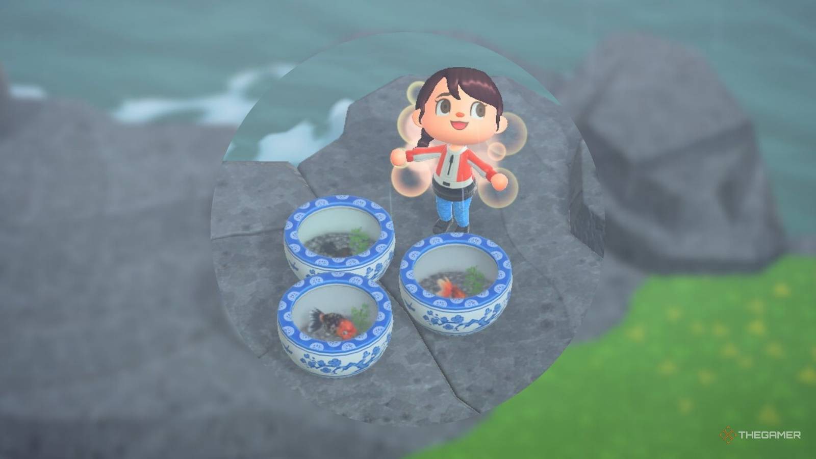 Best Bugs And Fish To Decorate Your ACNH Island