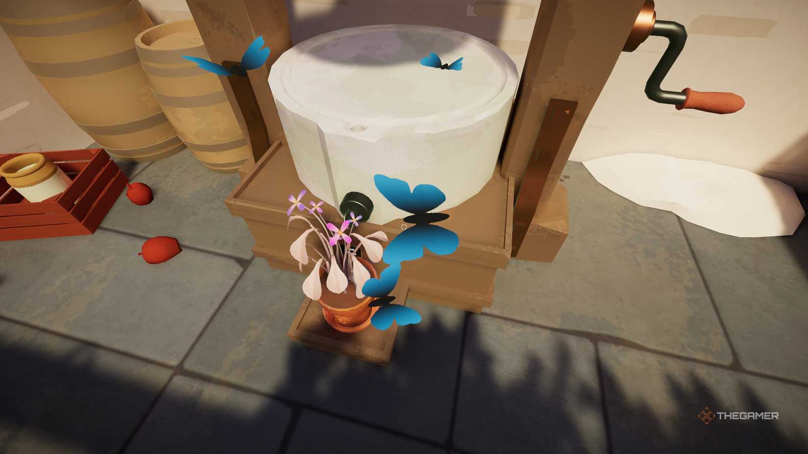 How To Grow Pixie Tears And Wolfglove In Botany Manor