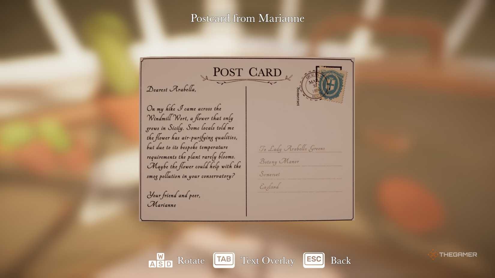 How To Grow Windmill Wort In Botany Manor