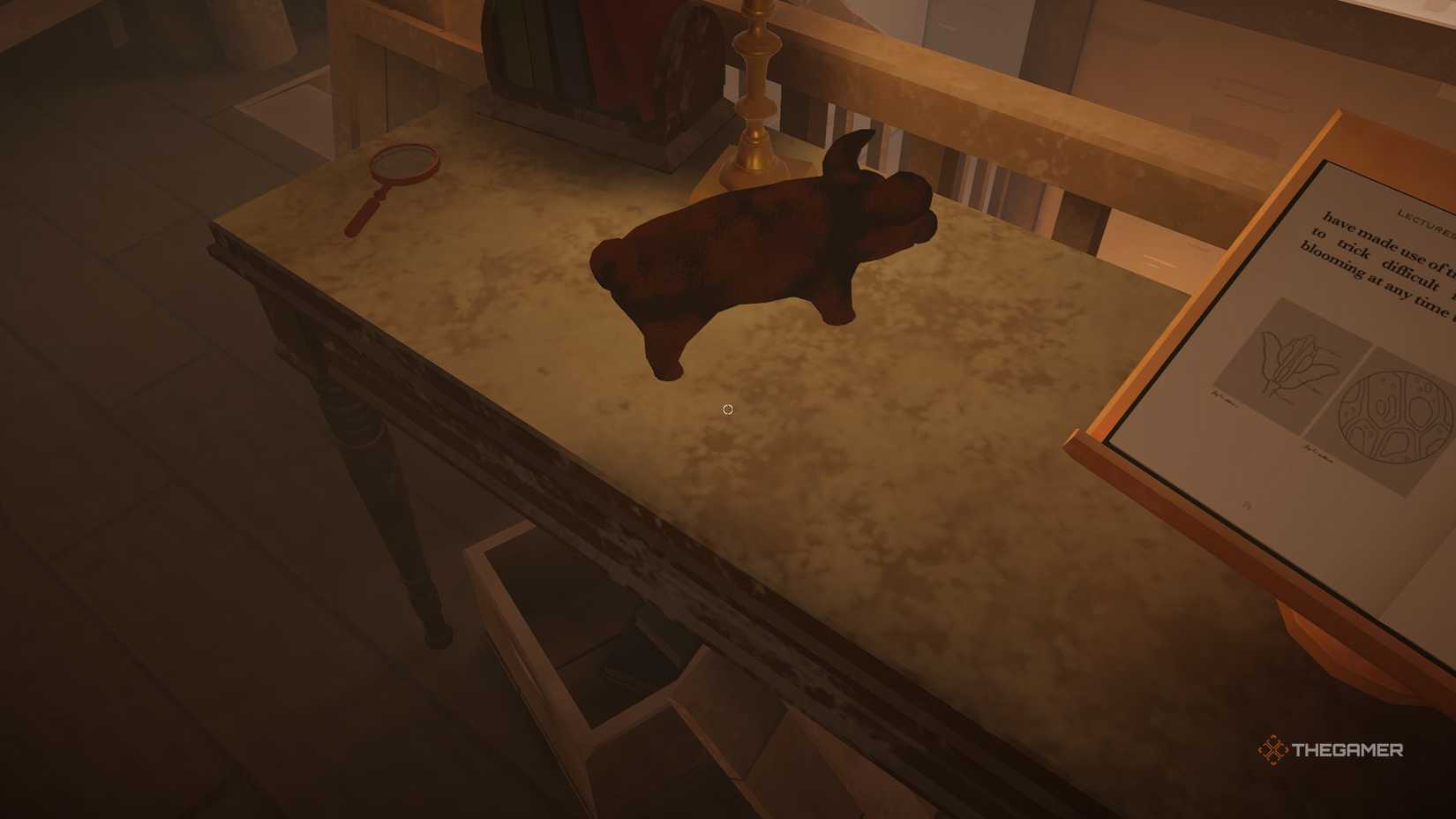 How To Grow Nightfall, Sapphire Gloom, Cradle Fern And Brook Chalice In ...