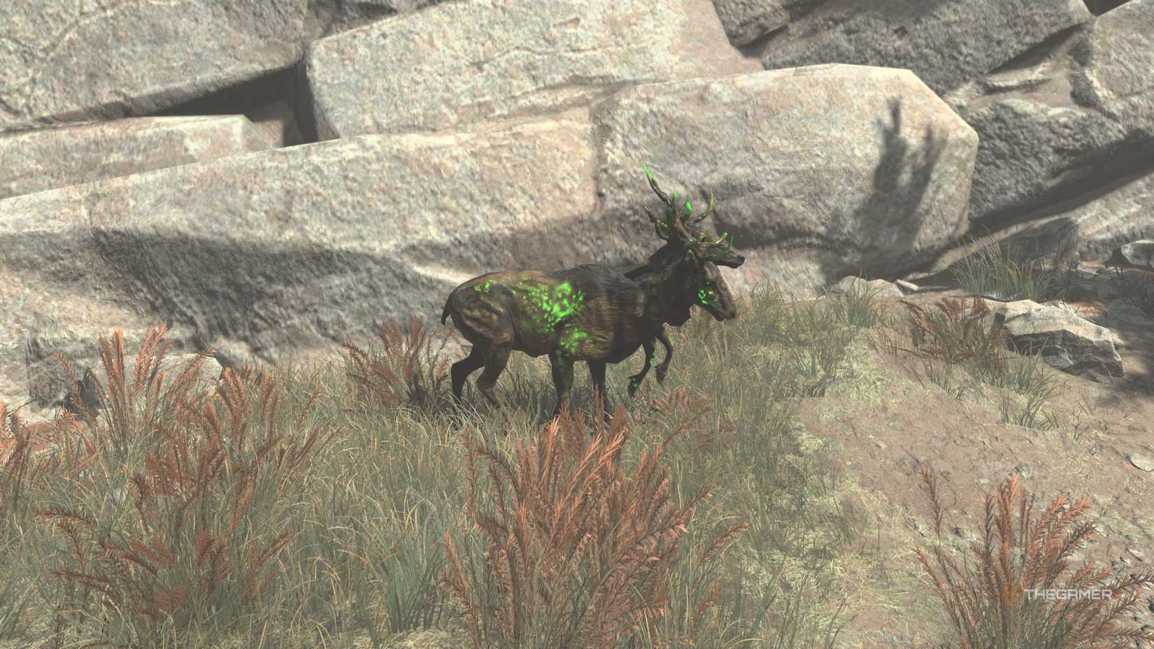 The Best Radstag Locations In Fallout 76