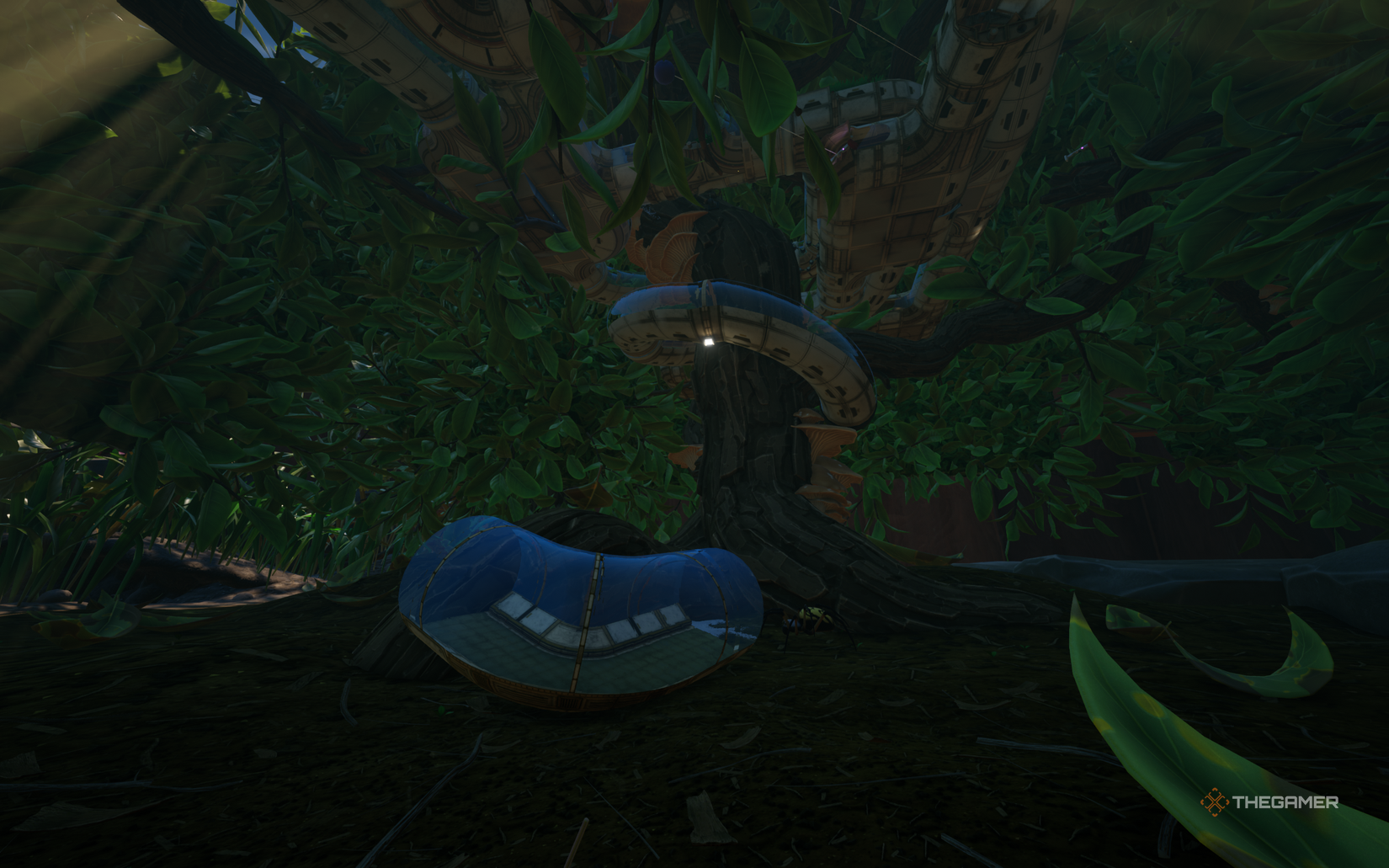 Which Lab Should You Go To First In Grounded?