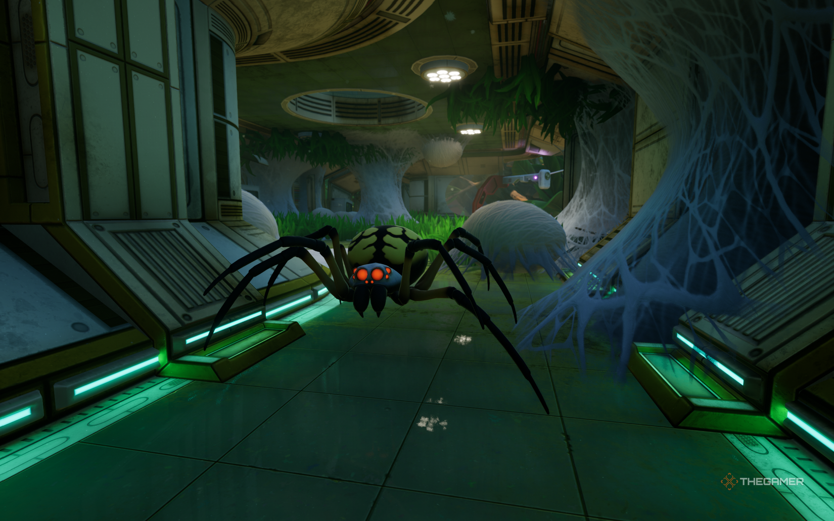 diving bell spider grounded