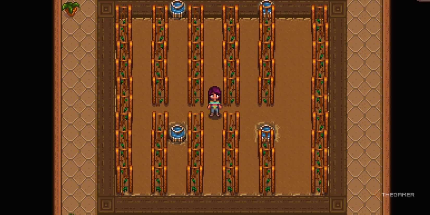 The Best Ways To Plant Trellis Crops In Stardew Valley