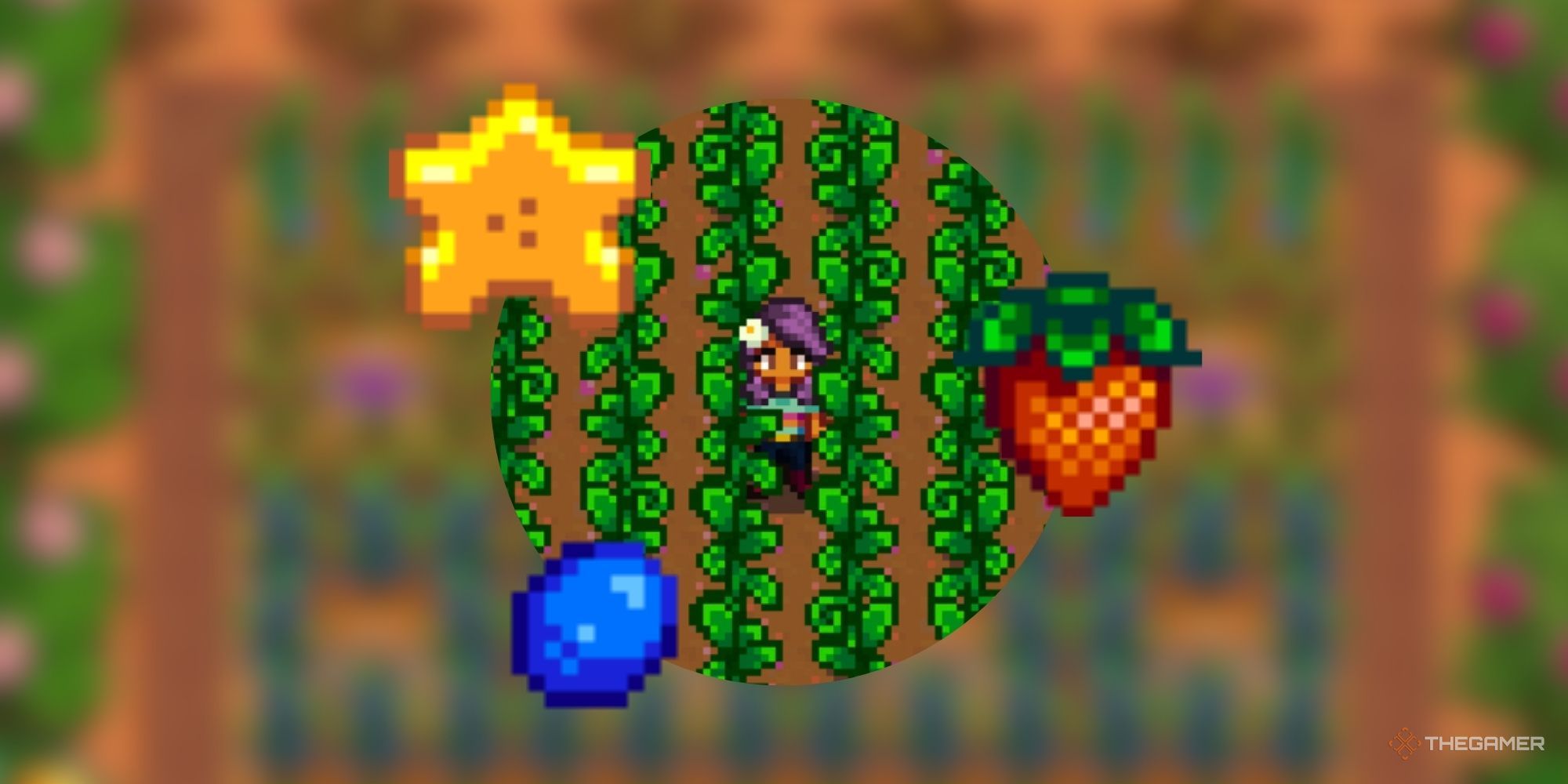 The Best Ways To Plant Trellis Crops In Stardew Valley