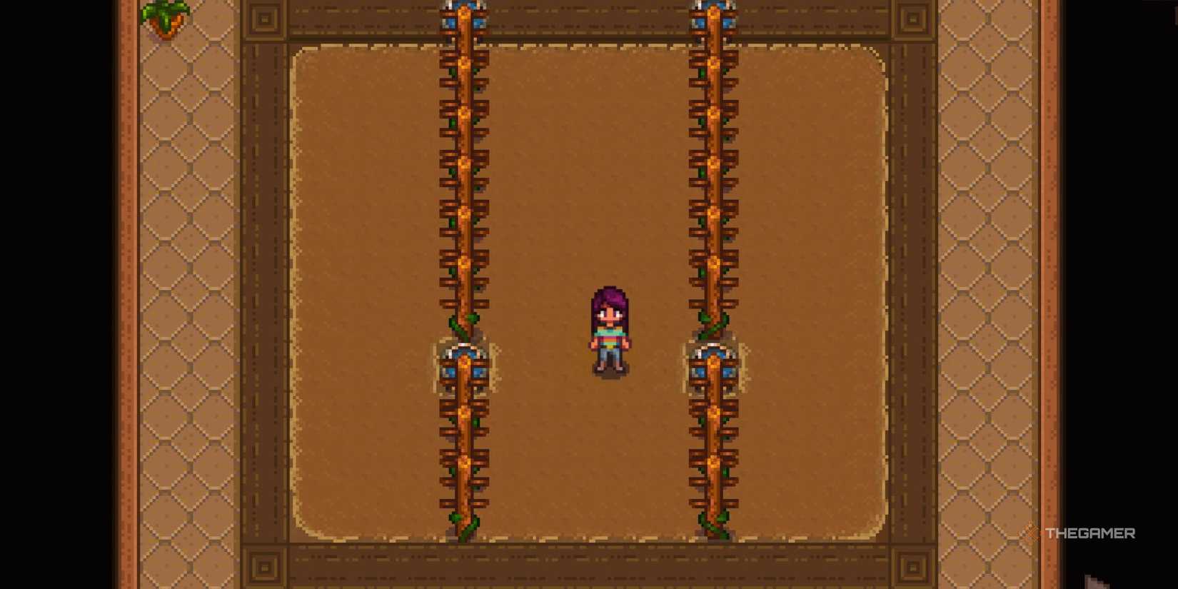 The Best Ways To Plant Trellis Crops In Stardew Valley