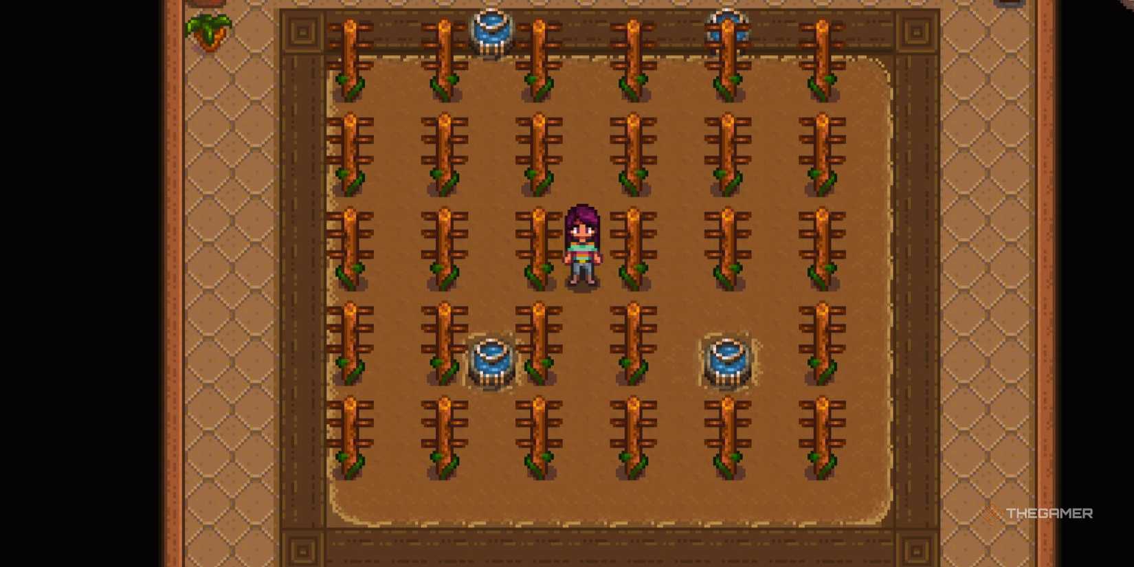 The Best Ways To Plant Trellis Crops In Stardew Valley