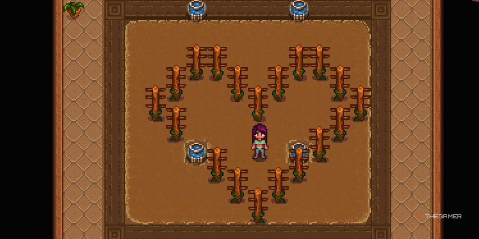 The Best Ways To Plant Trellis Crops In Stardew Valley