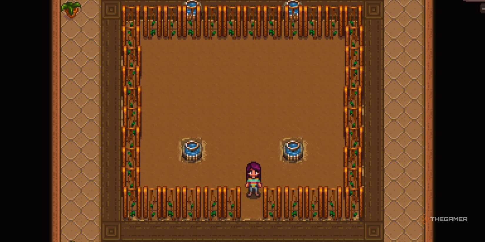 The Best Ways To Plant Trellis Crops In Stardew Valley
