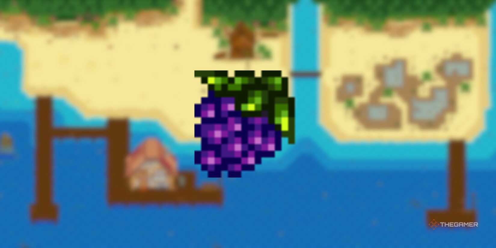 10 Things To Do During Summer In Stardew Valley