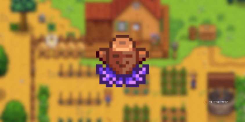 Best Books To Trade To The Bookseller In Stardew Valley
