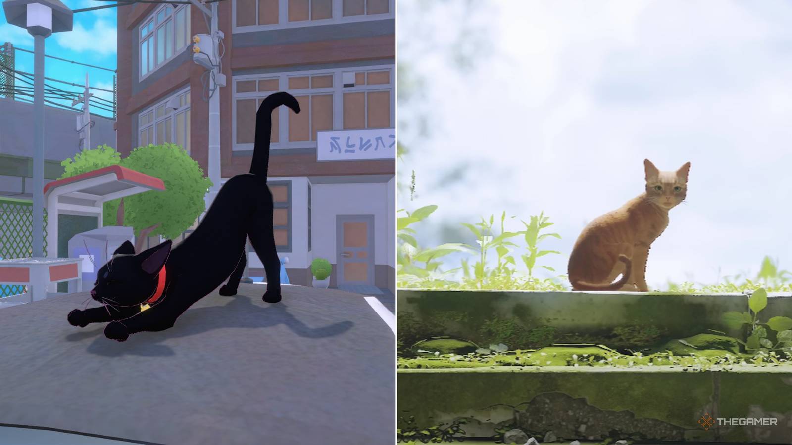 小猫咪，大城市VS。 Stray - 哪个游戏更好？ - Recmg.com