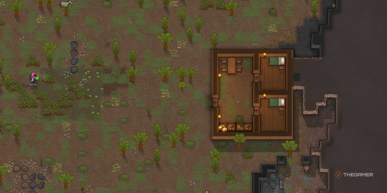 Beginner Tips For RimWorld