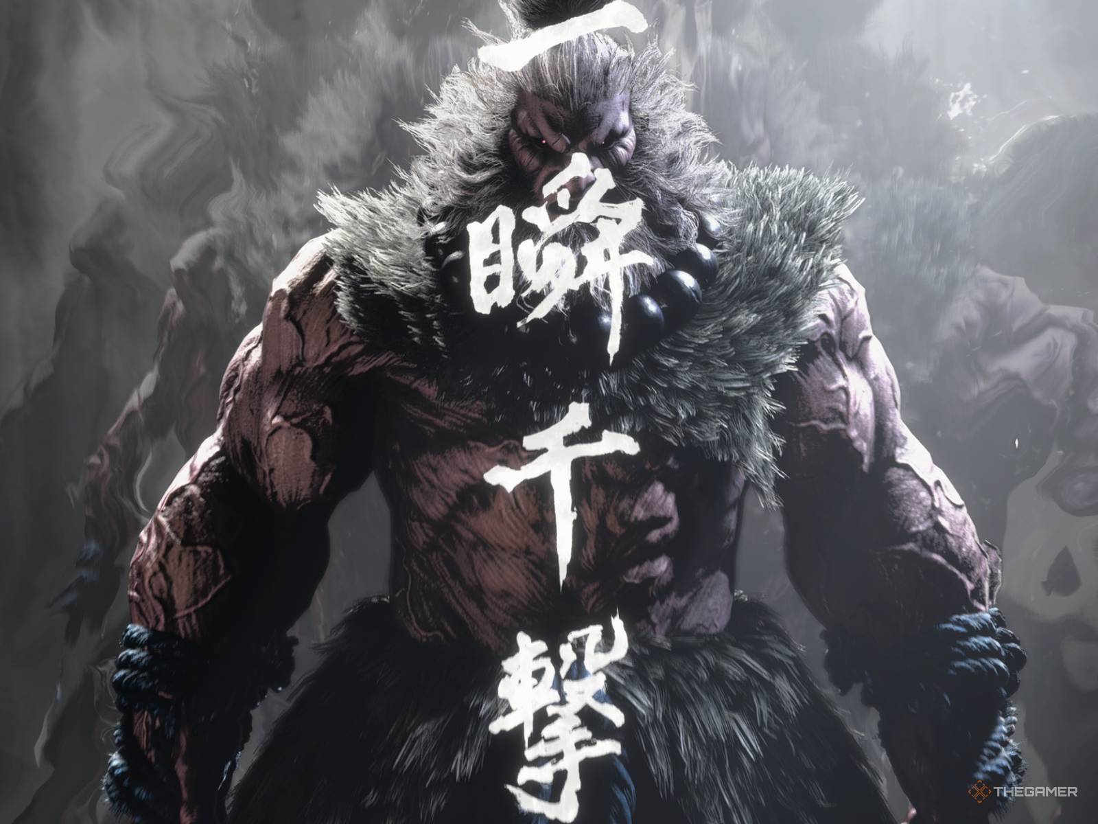 Ficha Shin Akuma Street Fighter