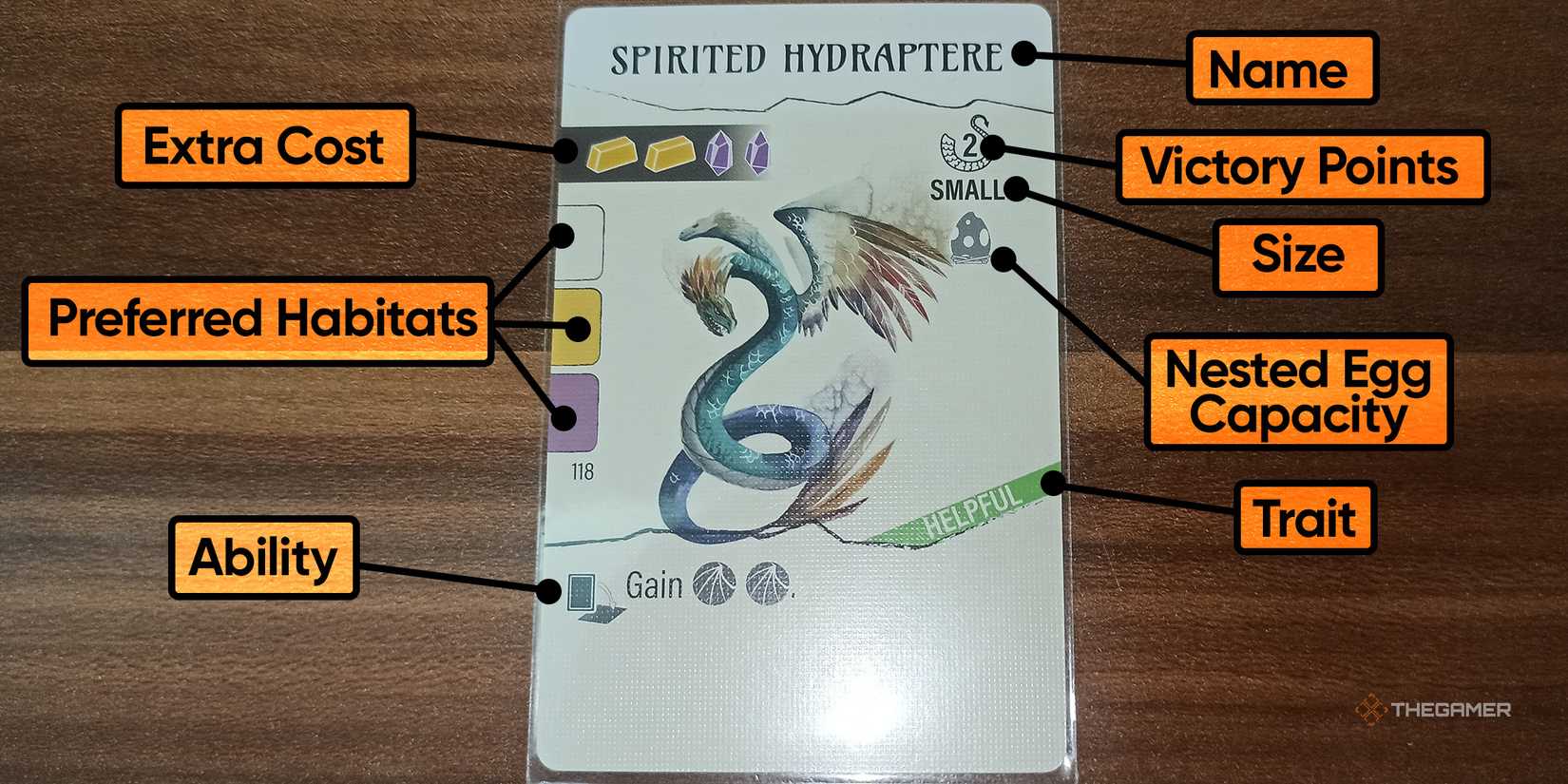 How To Set Up, How To Play, And How To Win Wyrmspan