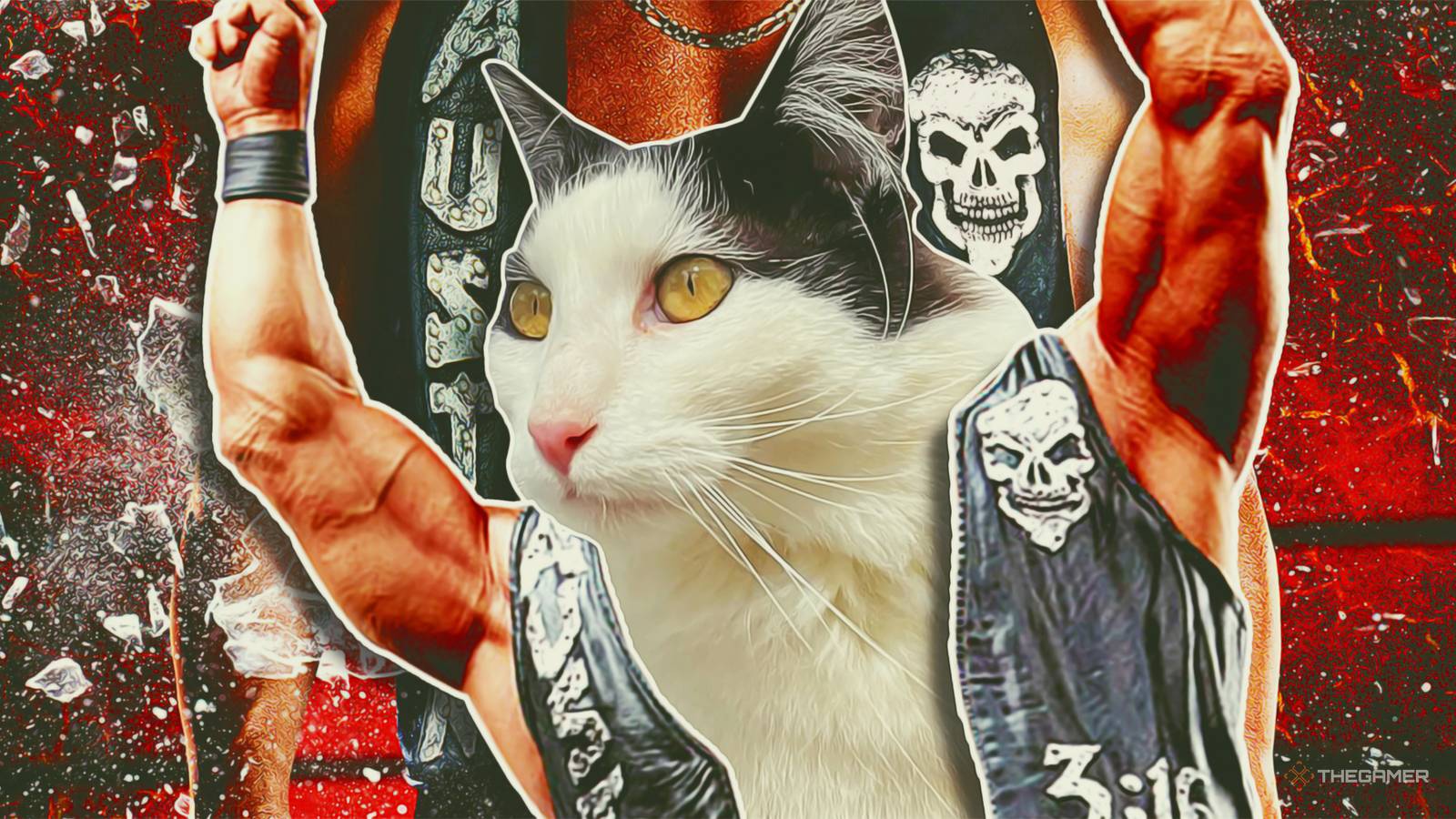 I Want To Be Reincarnated As One Of Stone Cold Steve Austin's Cats