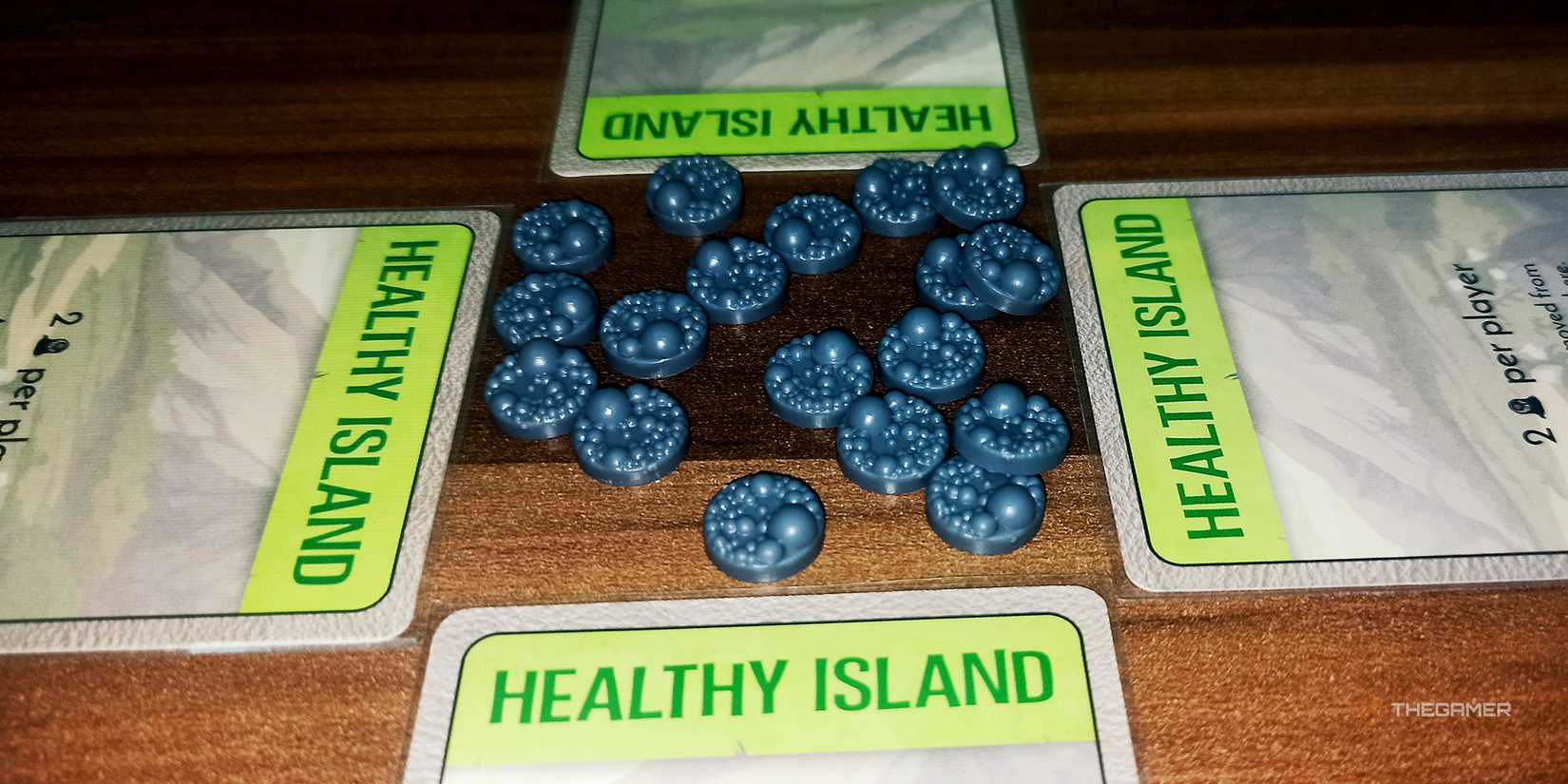 Everything You Need To Know To Play Spirit Island