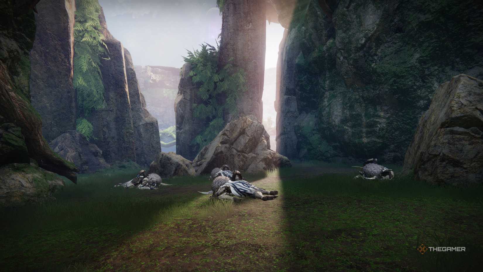 Destiny 2: The Final Shape - Wild Card Quest Guide