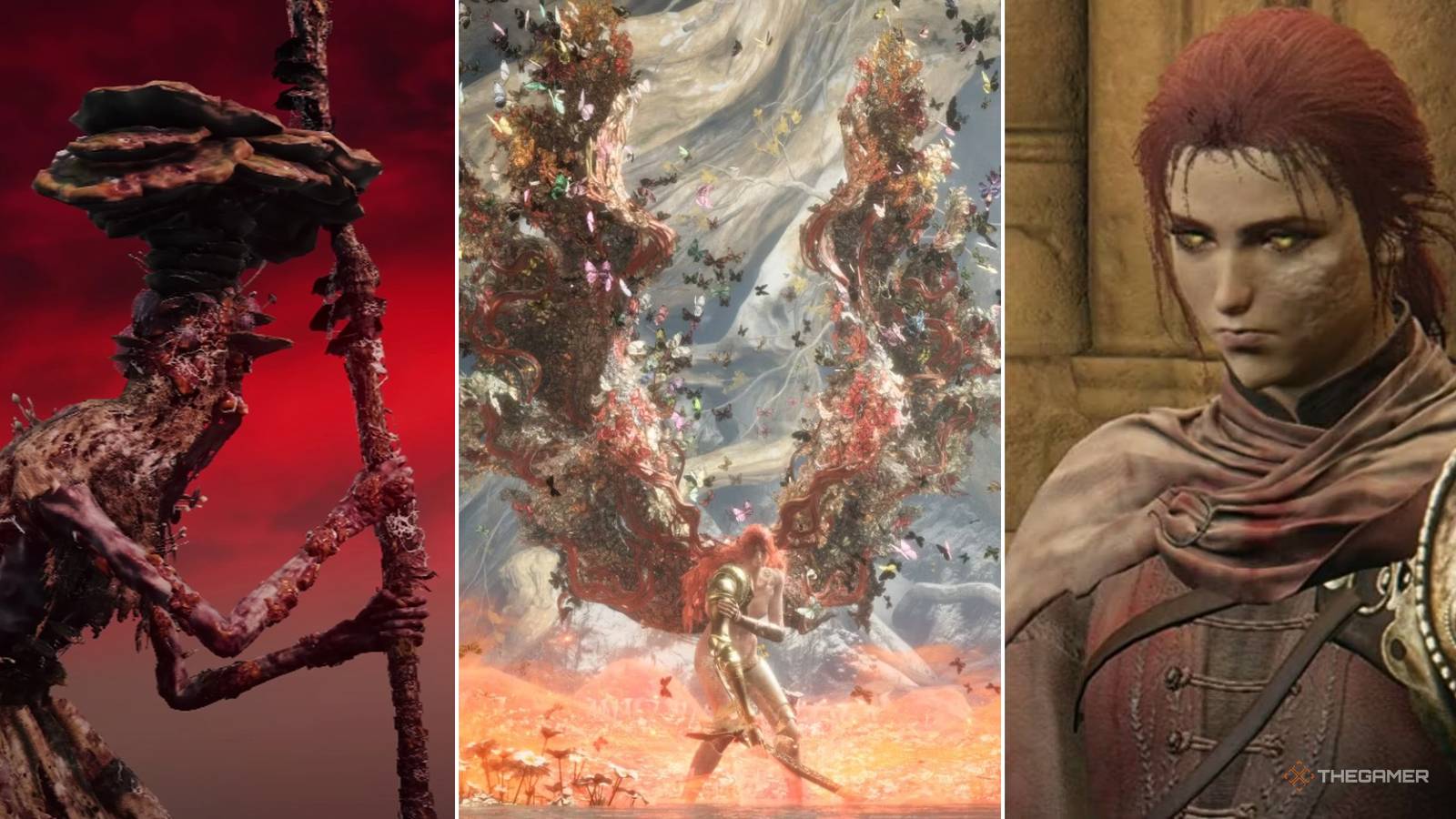 What Is The Scarlet Rot In Elden Ring?