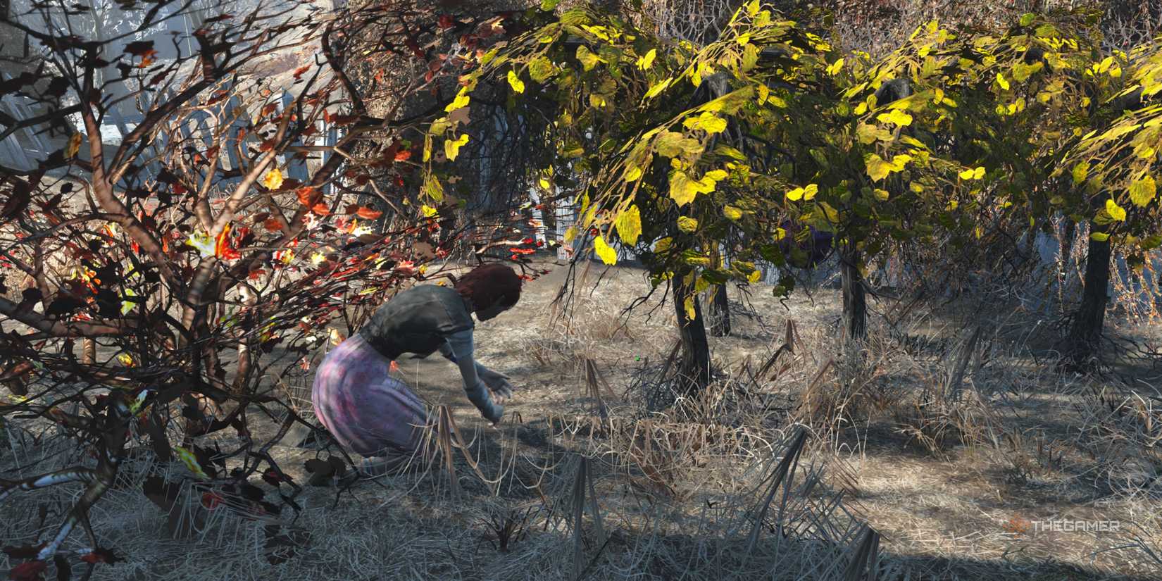 How To Improve Your Settlements In Fallout 4